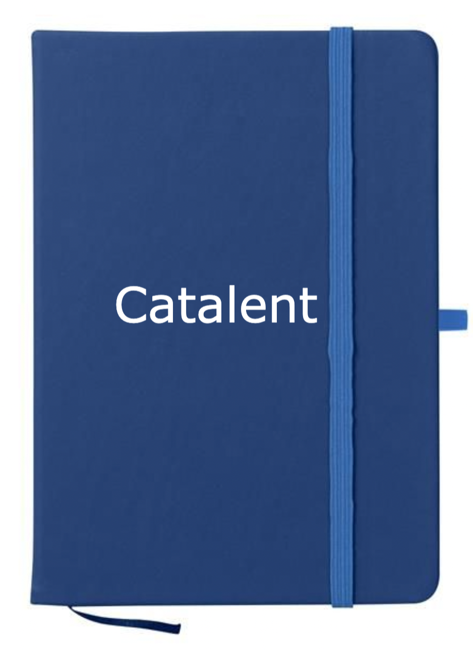 Blue Journal Book – Catalent
